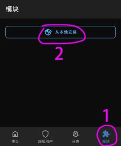 Shamiko 安装（Shamiko install）- Magisk中文网